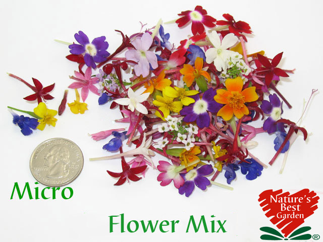 NBG Micro Flowers