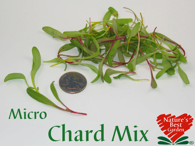 NBG Chard Mix