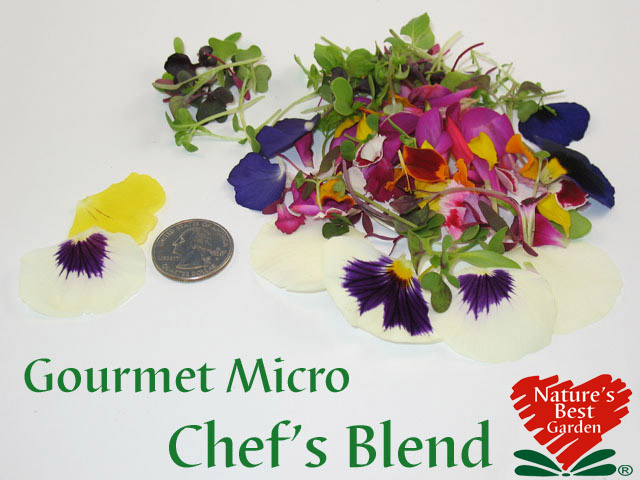 NBG Micro Chef's Blend