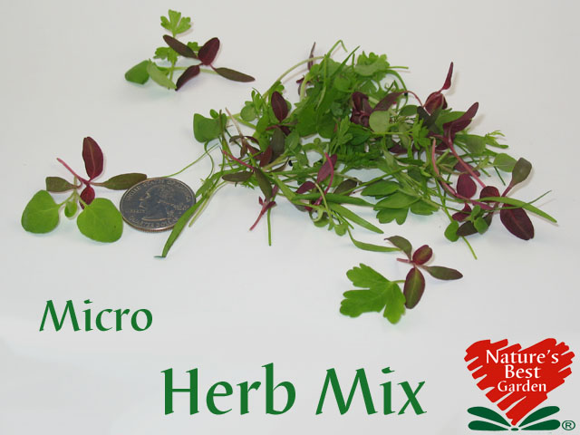 NBG Micro Herb Mix